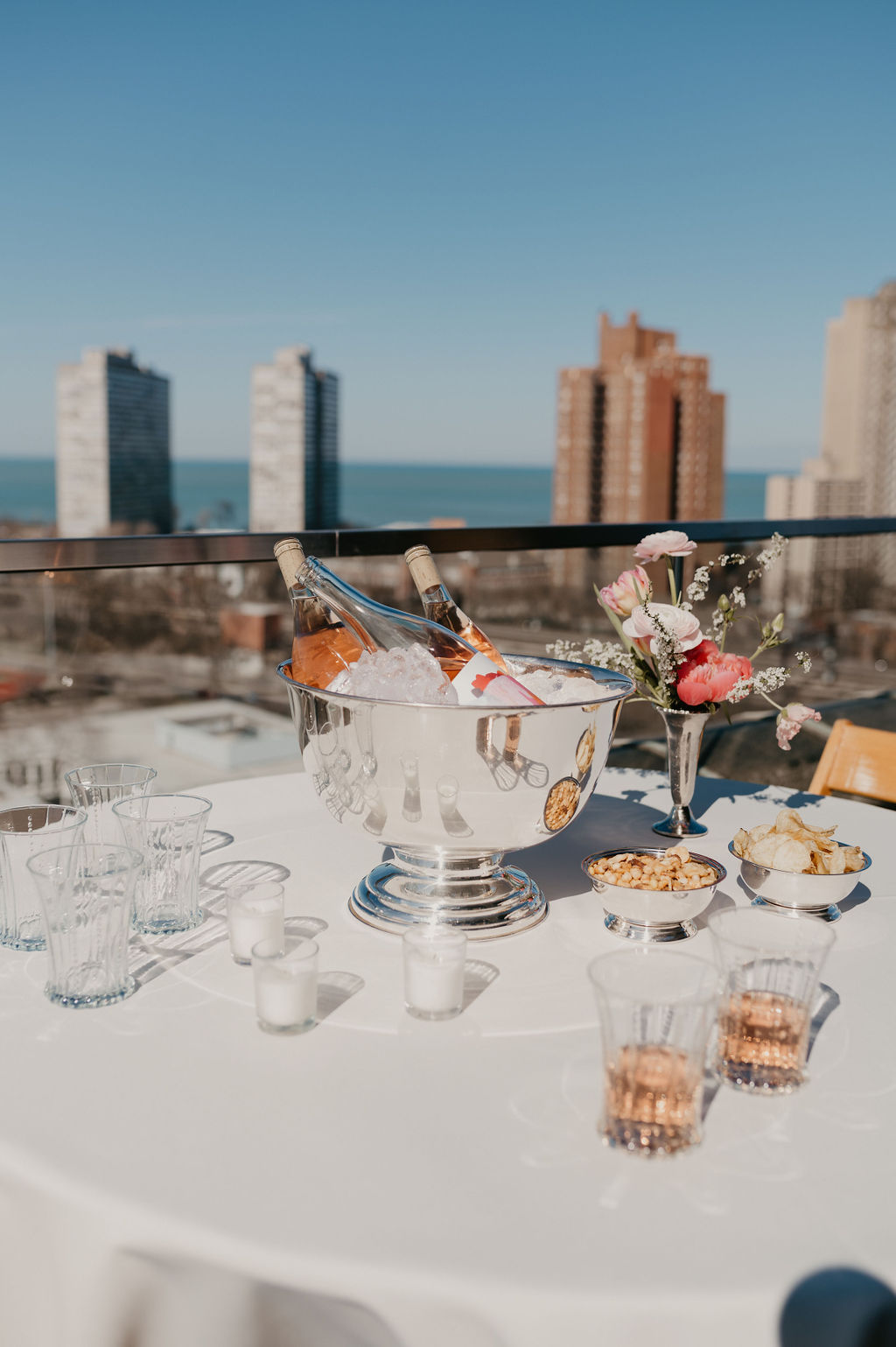 Rooftop Terrace - The Penthouse Hyde Park